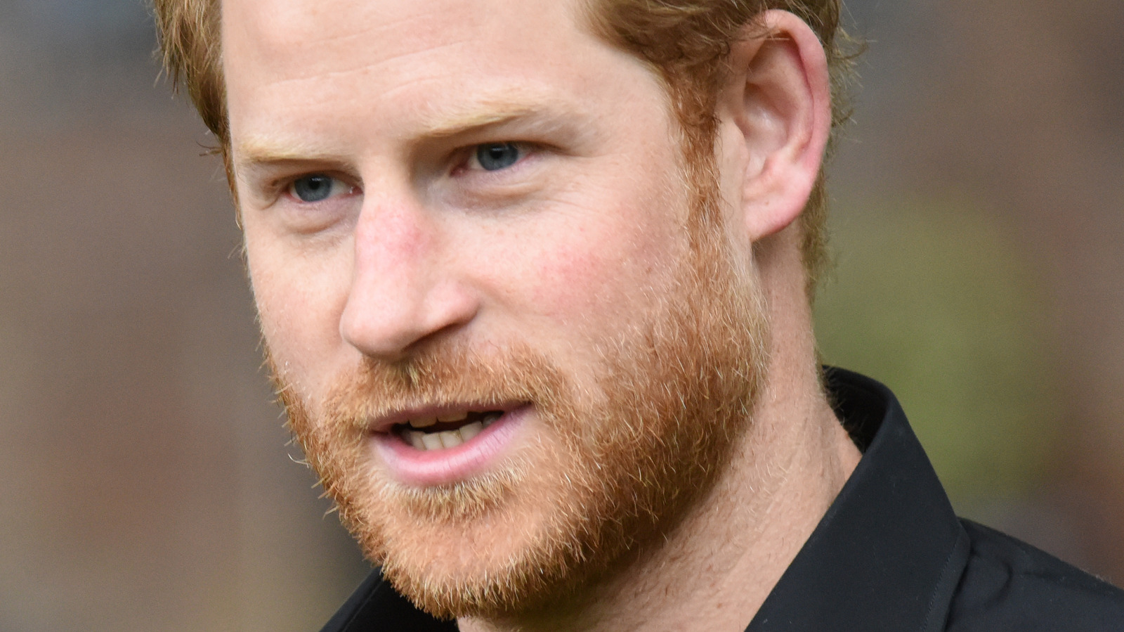 What Is The Royal Family's Biggest Fear Regarding Harry's New Book?