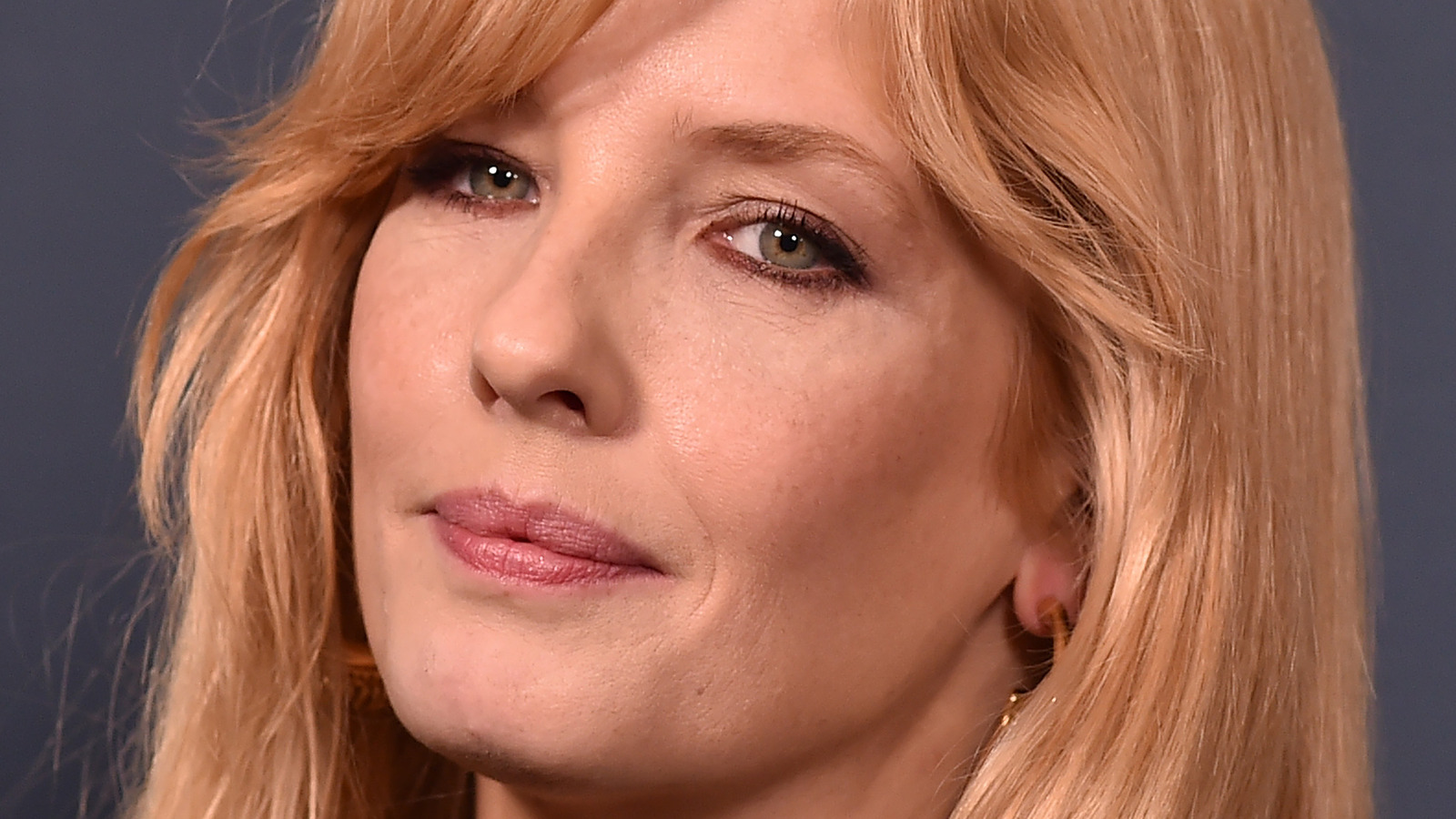 What Kelly Reilly Was Doing Before Yellowstone