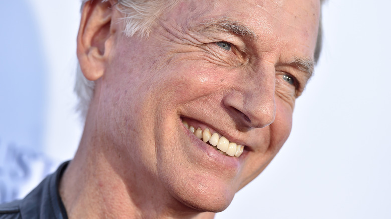 What Mark Harmon Has Been Doing Since Leaving NCIS What Mark Harmon Has Been Doing Since Leaving NCIS