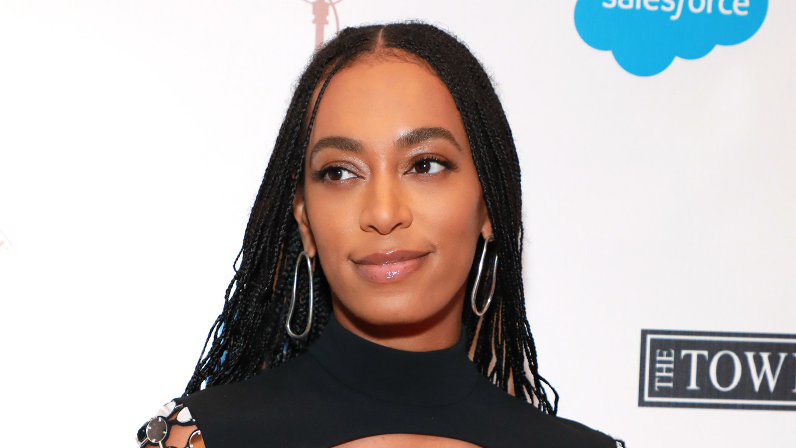 Big Box Braids Solange