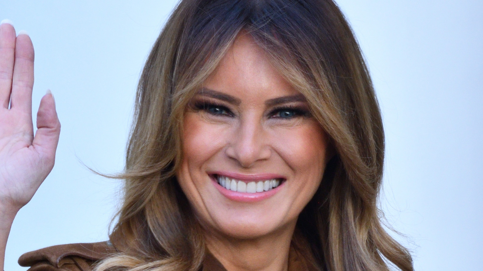 Why Did Melania Trump Really Swat Donald Trump's Hand?