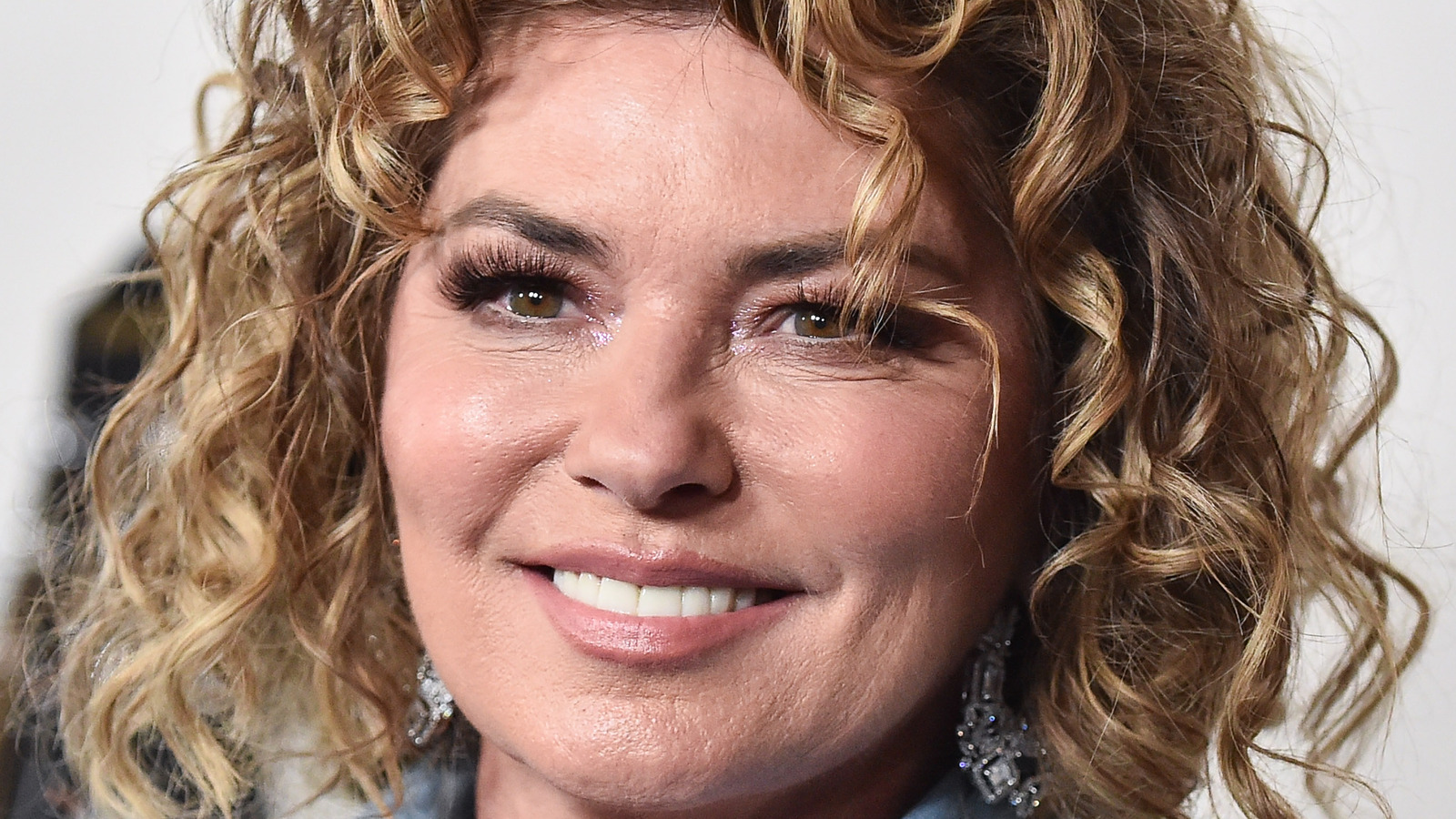 Why Shania Twain Replaced Her Famous Brad Pitt Lyric (& How He Reacted ...